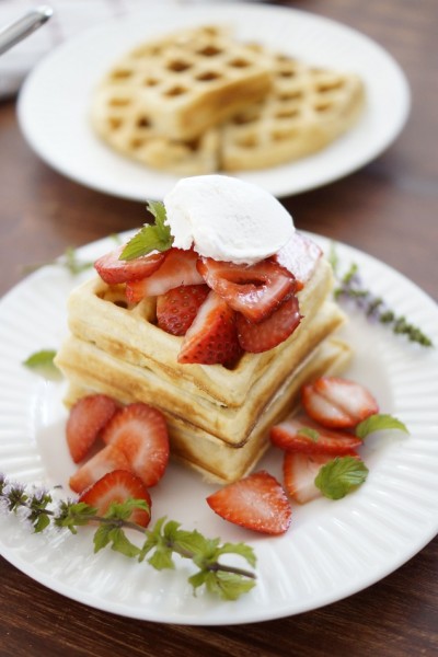 Homemade Waffle Batter Recipe - Eighteen25